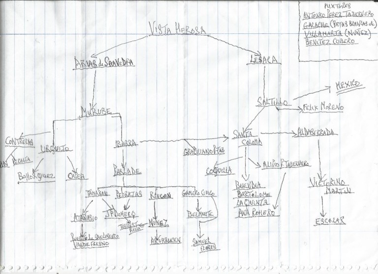The Great Fighting Bulls Of Pamplona | The Last Arena