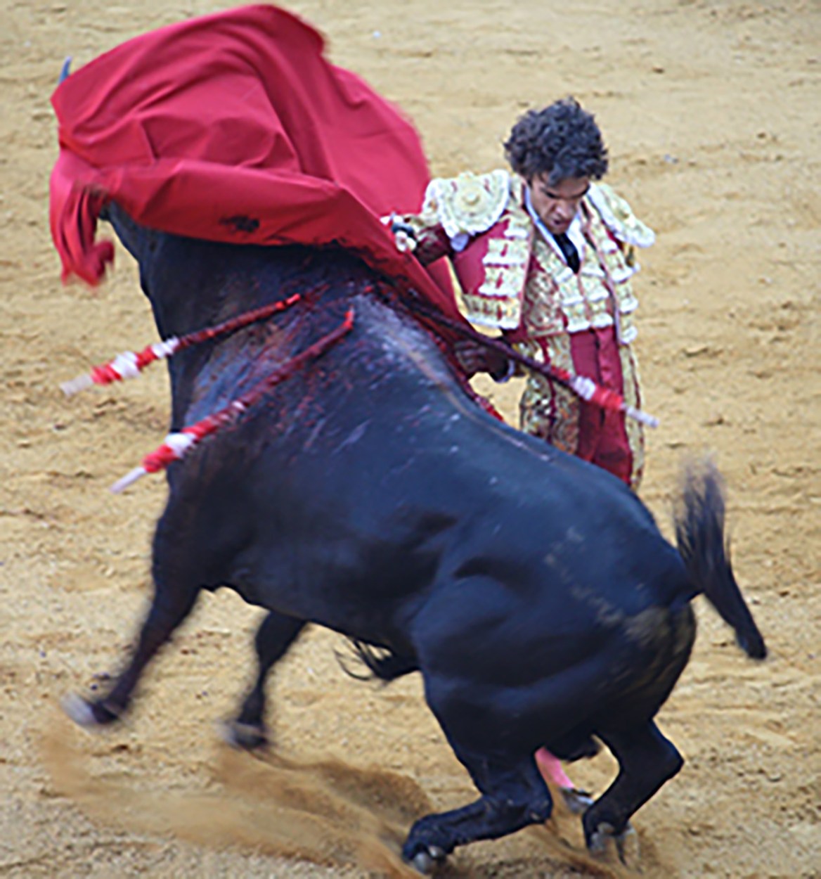 The Last Matador for GQ (unedited) | The Last Arena