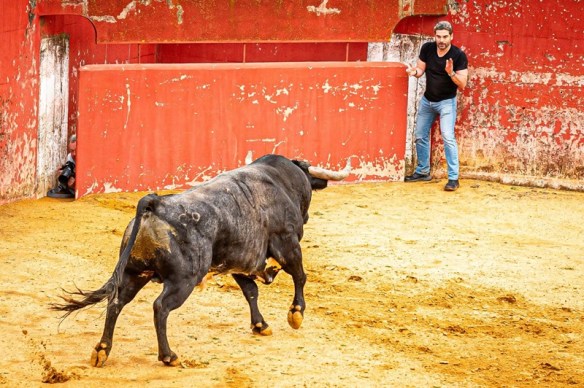 An artist comes to the bulls – David Yarrow in Miura | The Last Arena